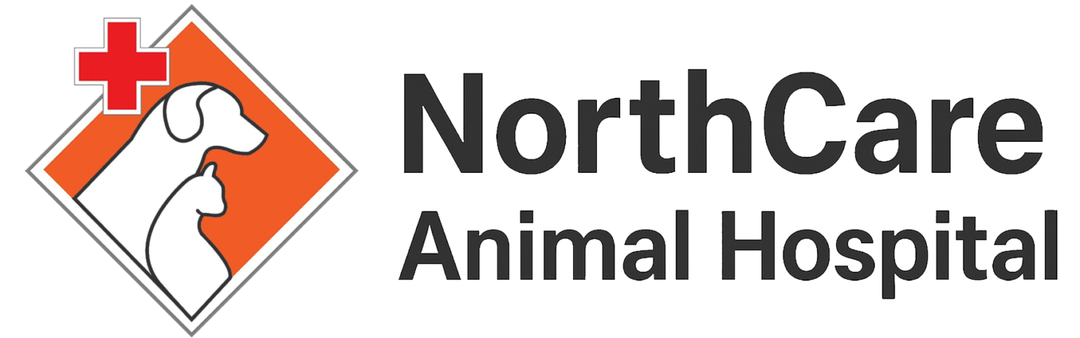 What Counts as a Pet Emergency in North Vancouver? | NorthCare- North ...