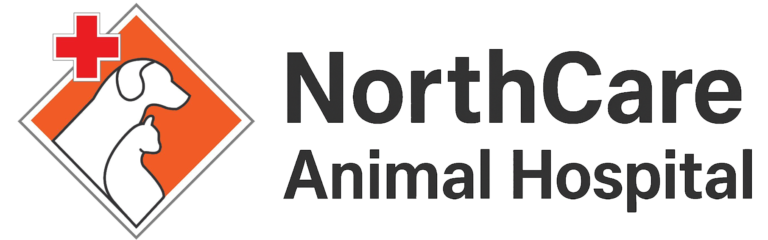 What Counts as a Pet Emergency in North Vancouver? | NorthCare- North ...