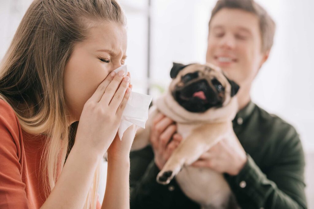 Pet Allergy & Dermatology | NorthCare- North Vancouver Animal Hospital & West Vancouver West ...