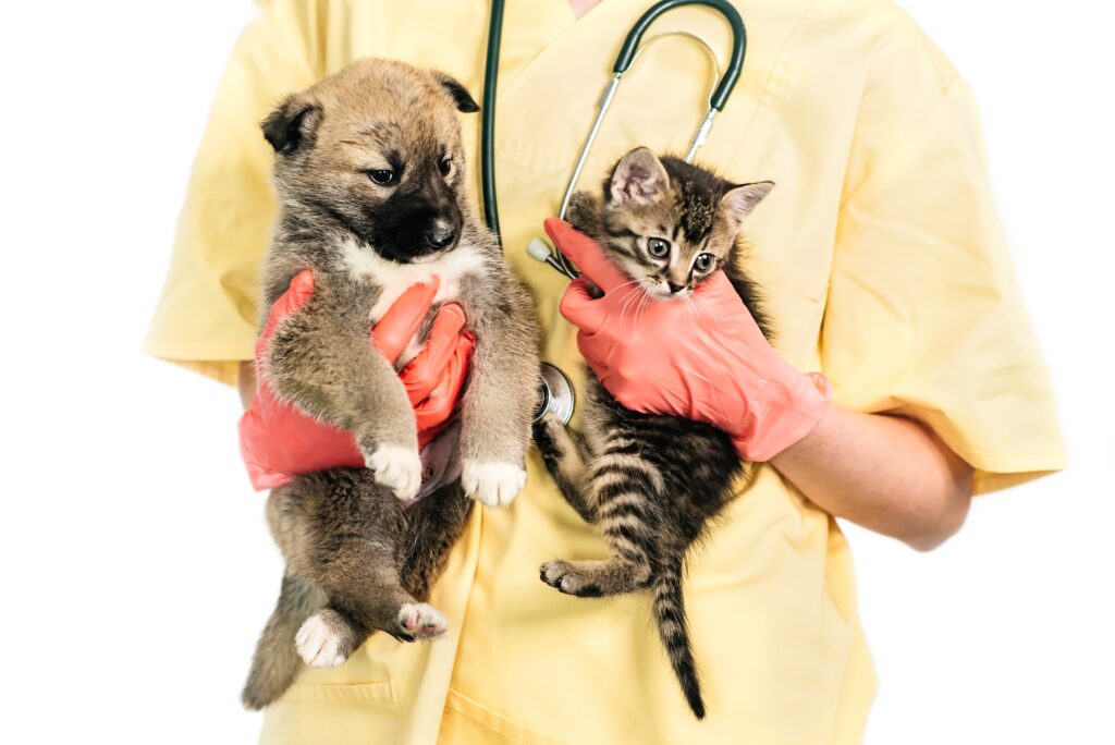 Vet Clinic in North Vancouver | Animal Hospital in North Vancouver